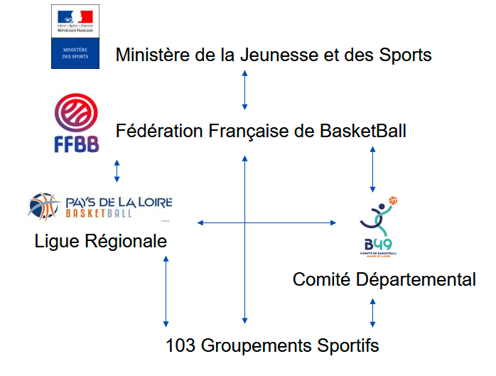 Qui sommes nous ? | Comité de Basketball du Maine-et-Loire
